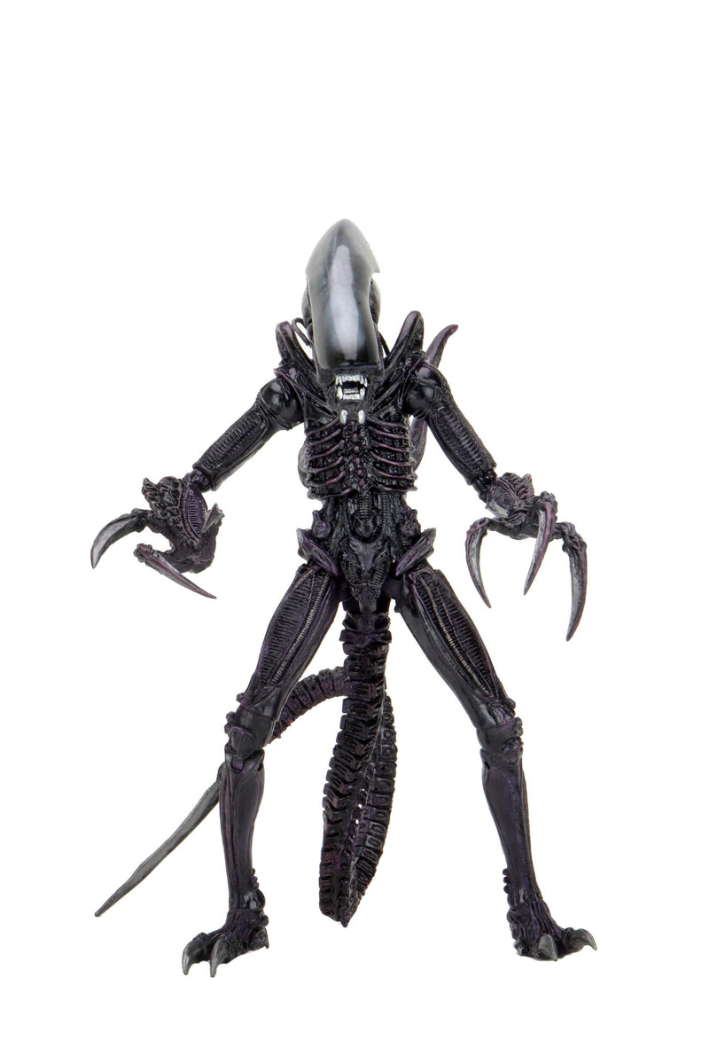 Razor Claws Alien (Movie Deco) - 7" Scale Action Figure - Alien vs Pre ...