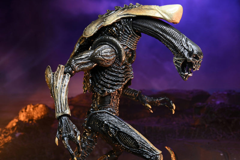 Chrysalis Alien (Movie Deco) - 7" Scale Action Figures - Alien vs Pred ...