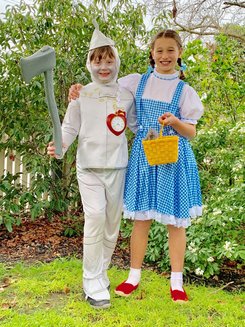 Dorothy's Toto In The Basket - The Wizard of Oz | Costume World NZ