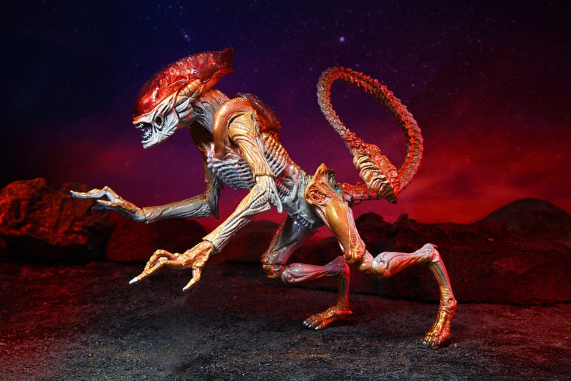 Panther Alien Kenner Tribute - 7" Scale Action Figure - Aliens - NECA ...